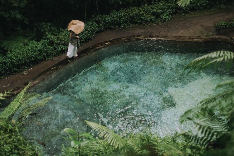 Bali Pulina Heritage